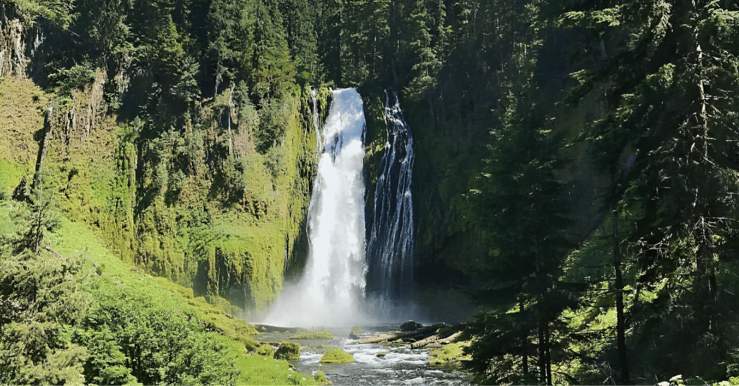 Lemolo Falls: The Ultimate Travel Guide And Trail Tips